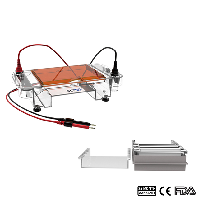 Horizontal Gel Electrophoresis Chamber - Scitek